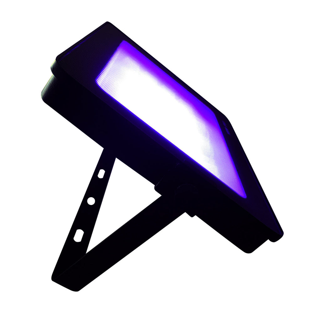 Infinity Black Casing Purple LED Flood Light