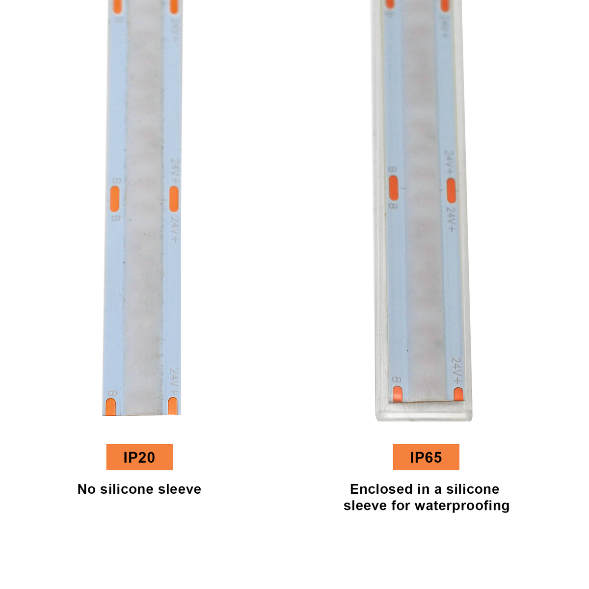 LED COB Strip Light, Seamless, 5M Reel, IP20/IP65, 24V, 10mm/12mm Wide