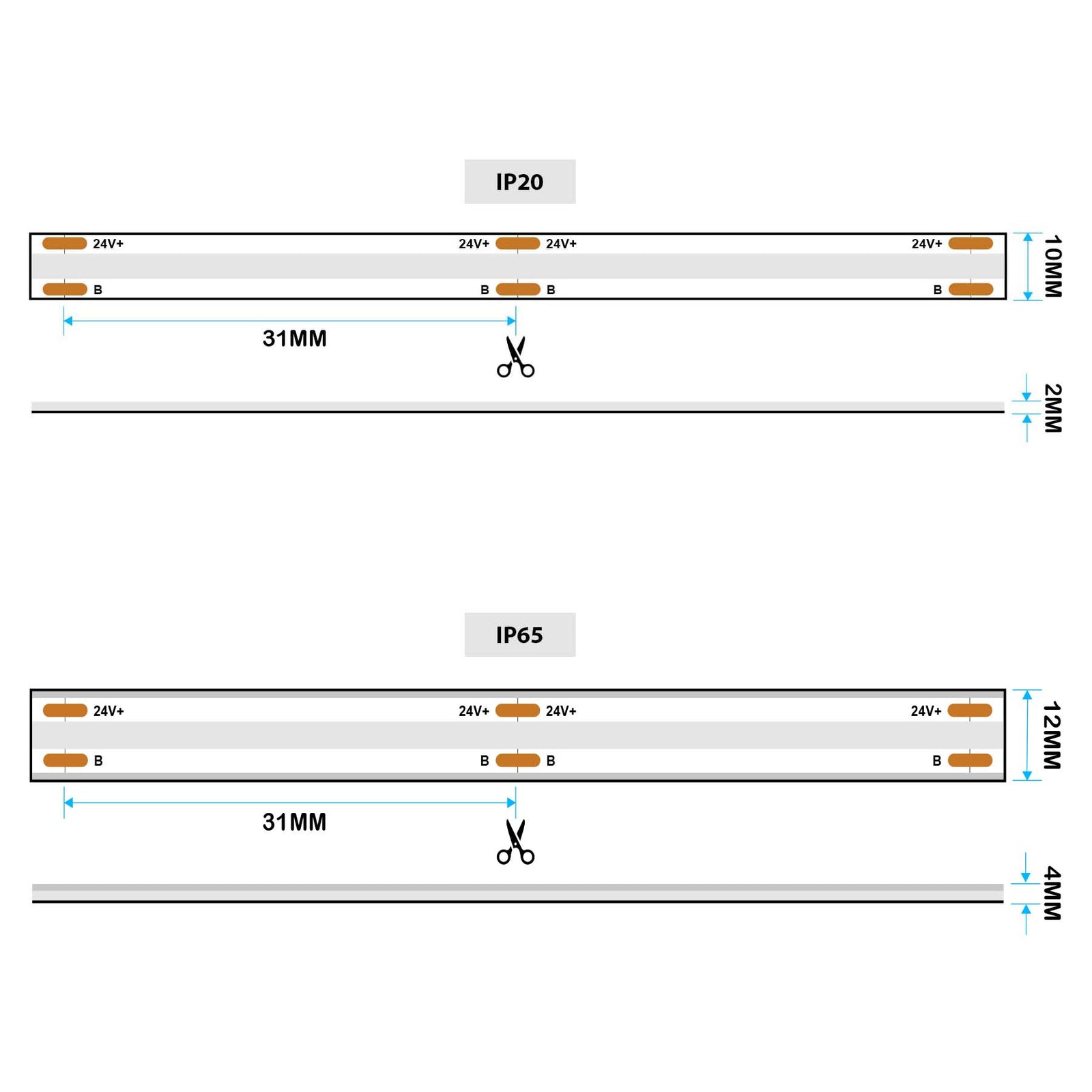LED COB Strip Light, Seamless, 5M Reel, IP20/IP65, 24V, 10mm/12mm Wide