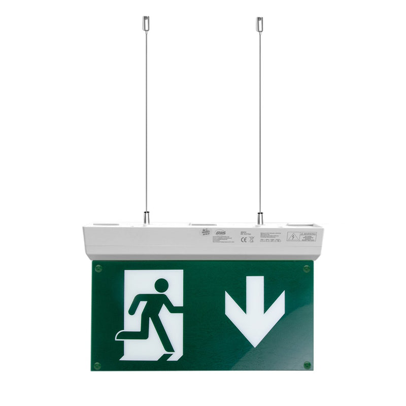 2W LED Emergency Exit Light - Down Arrow Legend